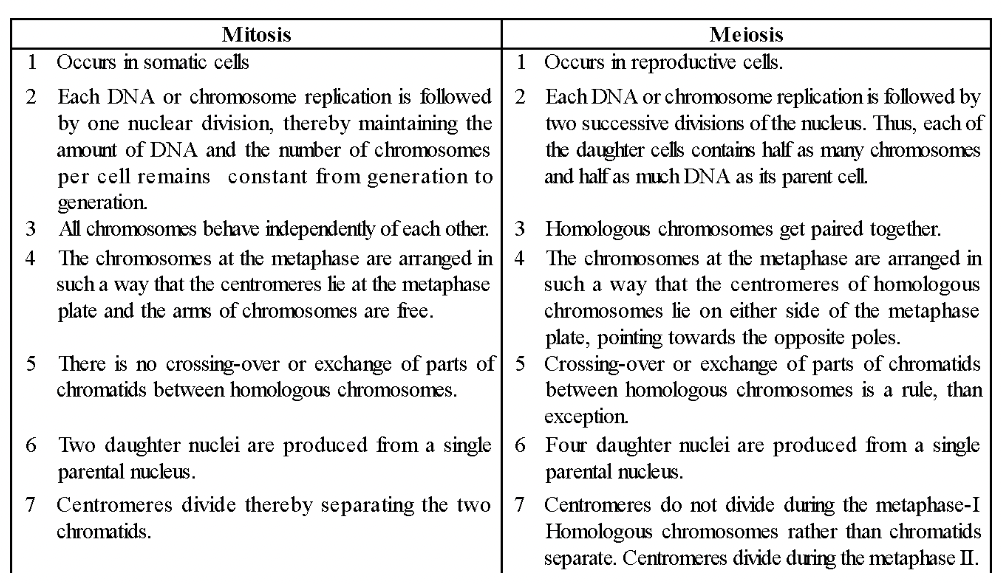 Differences Between Mitosis And Meiosis Difference Between Mitosis And