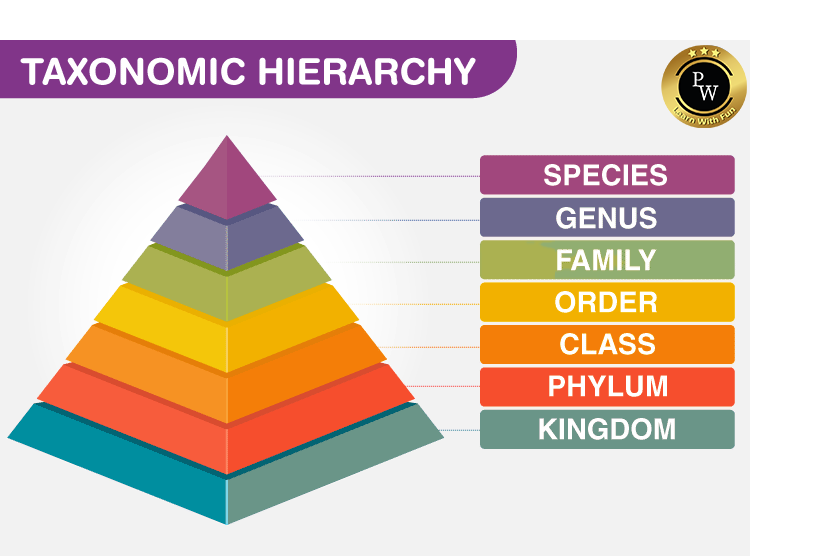 Hierarchy Of Living Organisms 1.1 Themes And Concepts Of Biology